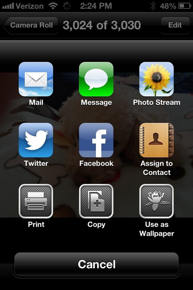 iOS 6 Release Date Confirmed for September 19th