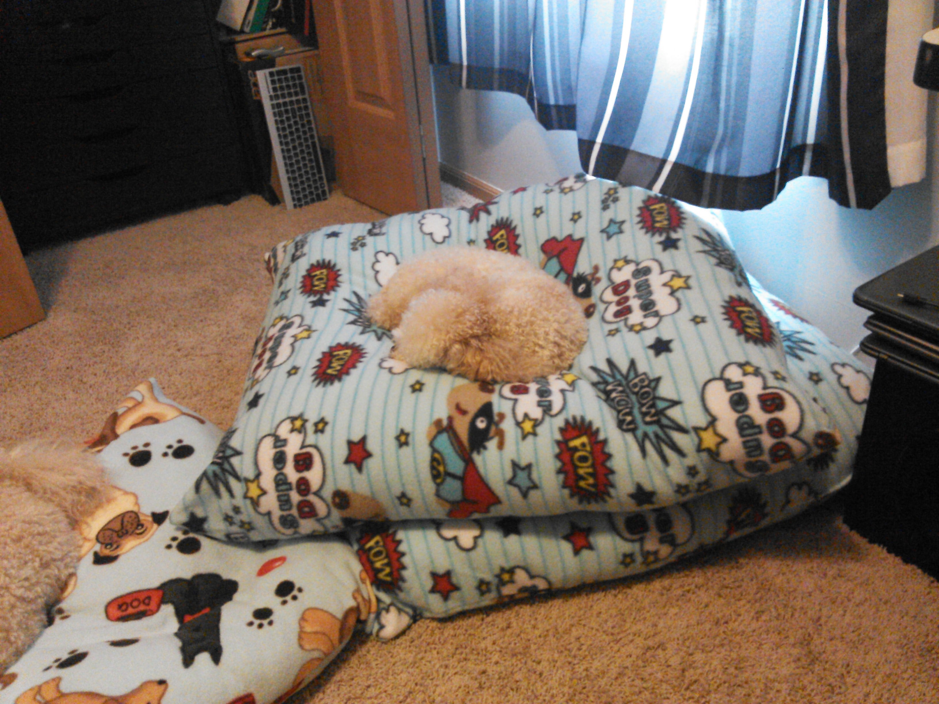 Casio G'zOne Commando 4G LTE Review (Verizon Wireless)